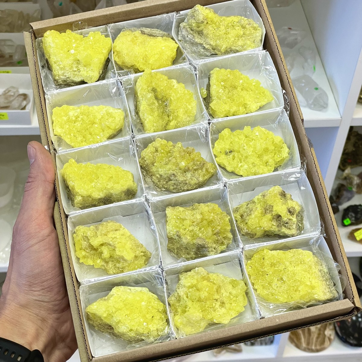 Sieros kristalų drūza, 50-90 gr. – GYVI KRISTALAI